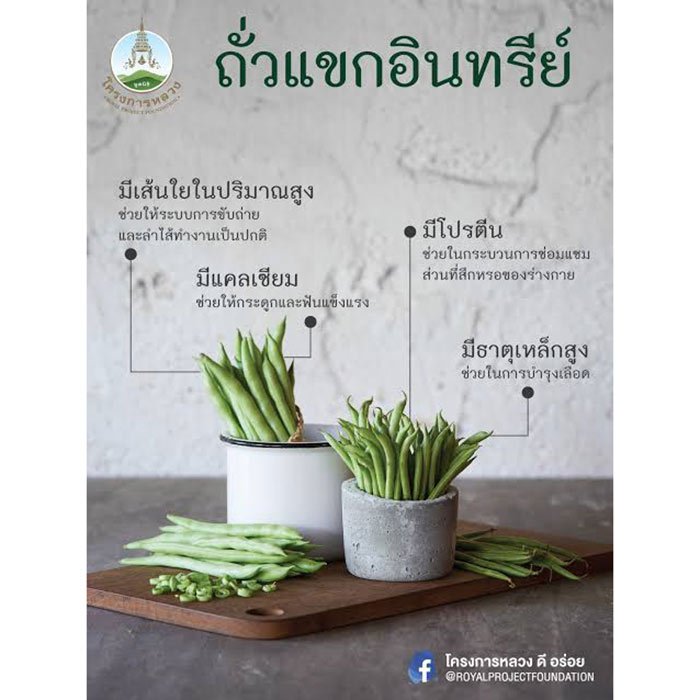 โครงการหลวง ถั่วแขกอินทรีย์ 200 ก. - Big C Online